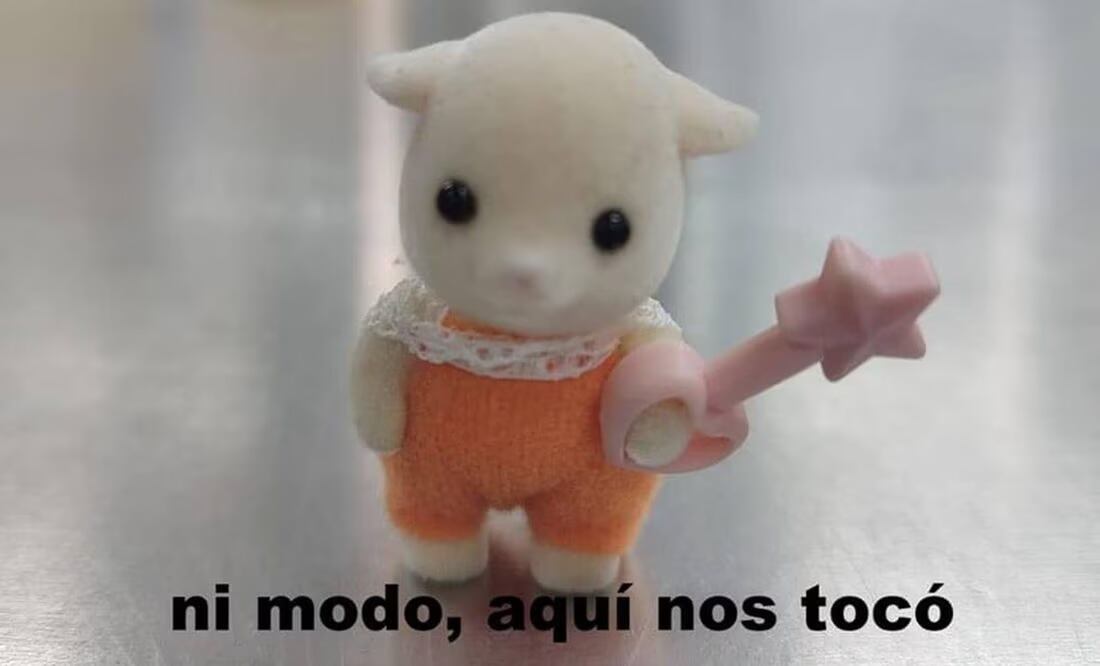 Ternurines, ¿cuál es su origen y por qué se han hecho virales en redes ...