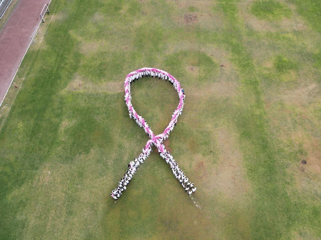 IMSS Querétaro realiza lazo rosa para fomentar la prevención del cáncer ...