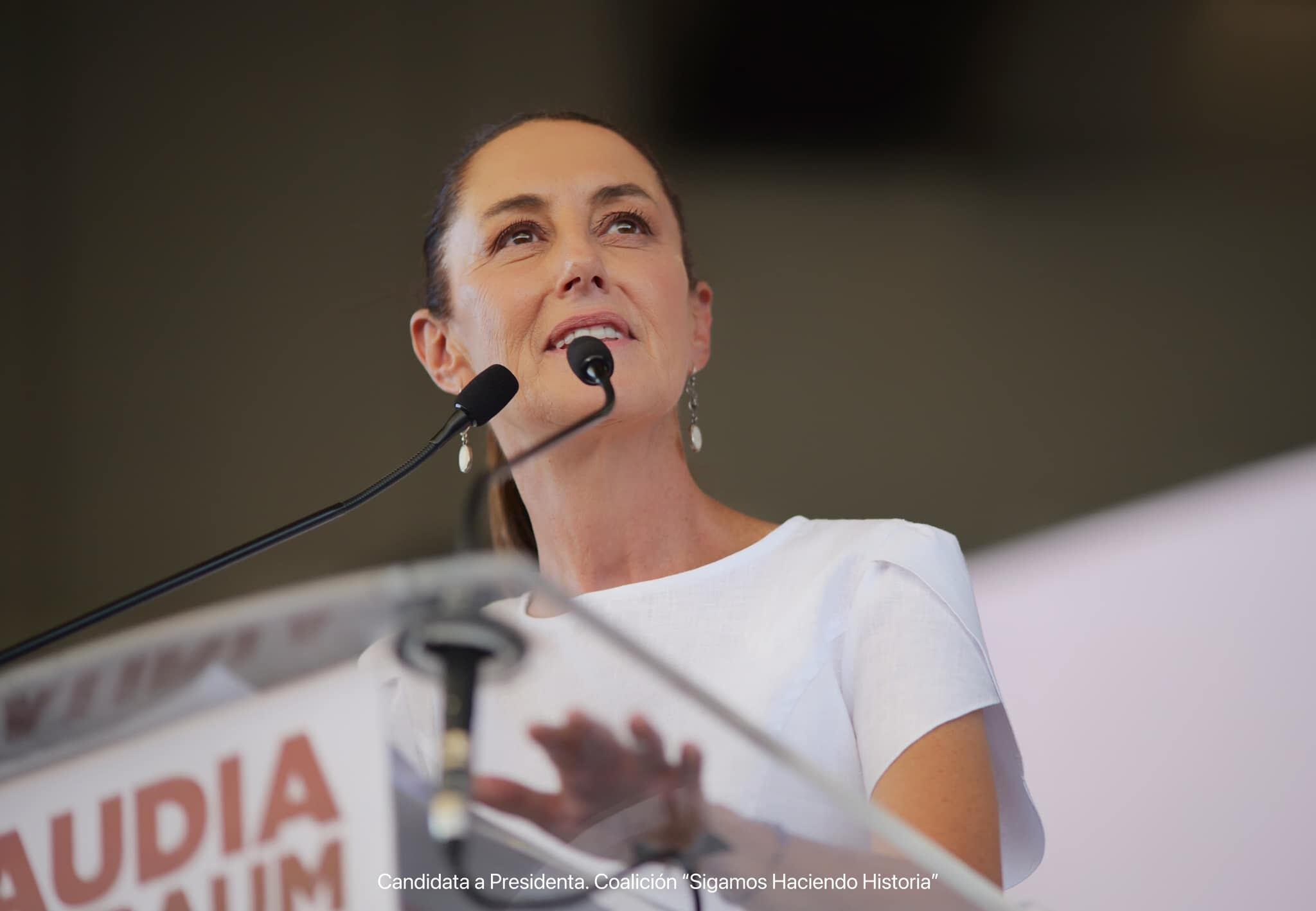 Opinión. Defender la democracia | Querétaro