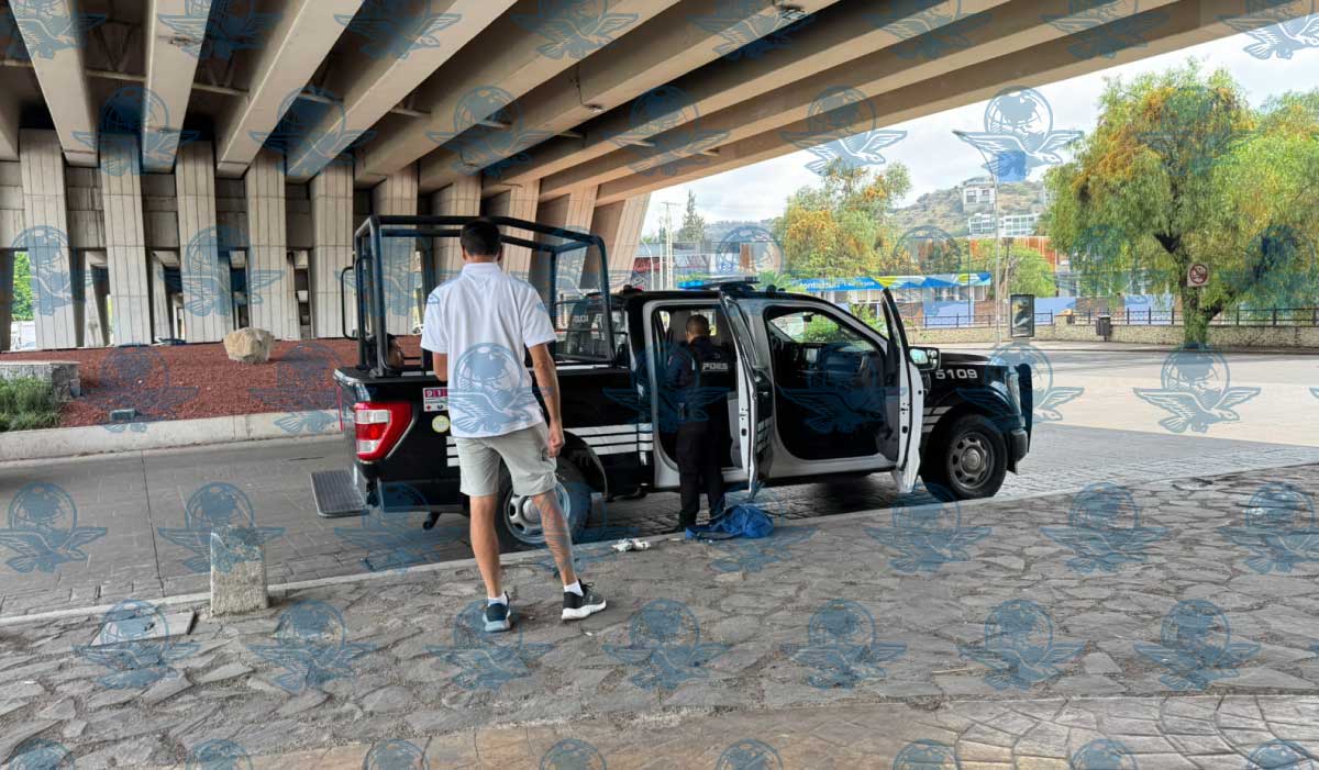 Sujeto agresivo rompe parabrisas y causa daños a vehículo en puente ...